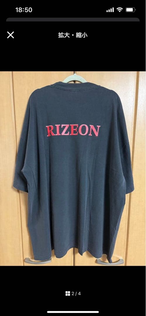 ミュージシャン RIZE SKULL ZEUS TEE The BONEZ