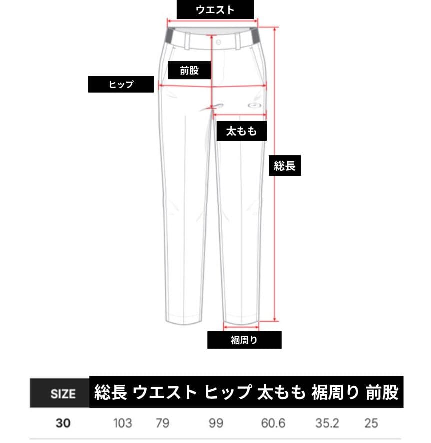【日本未発売】STORM　ストームボウリングパンツ　スリムフィットスラックス