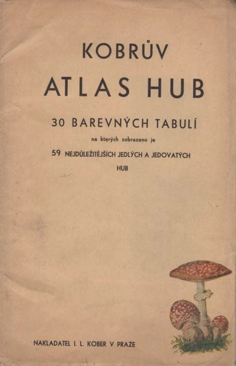 I. L. KOBER キノコ図鑑　【激レア・1900年代初頭】